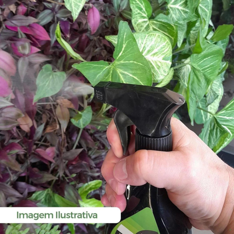 Inseticida Mata Formiga Forth Deltametrina 500ml